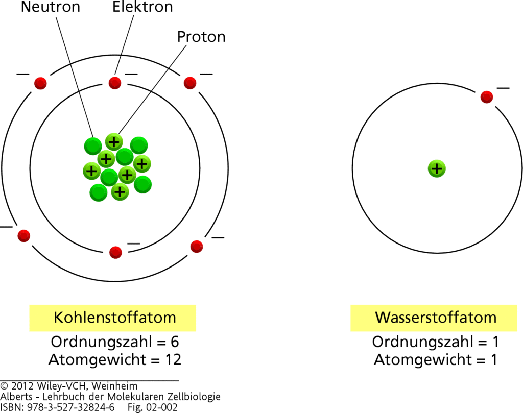 Molekularbiologie der Zelle Teil 2: Atome, Periodensystem und ...