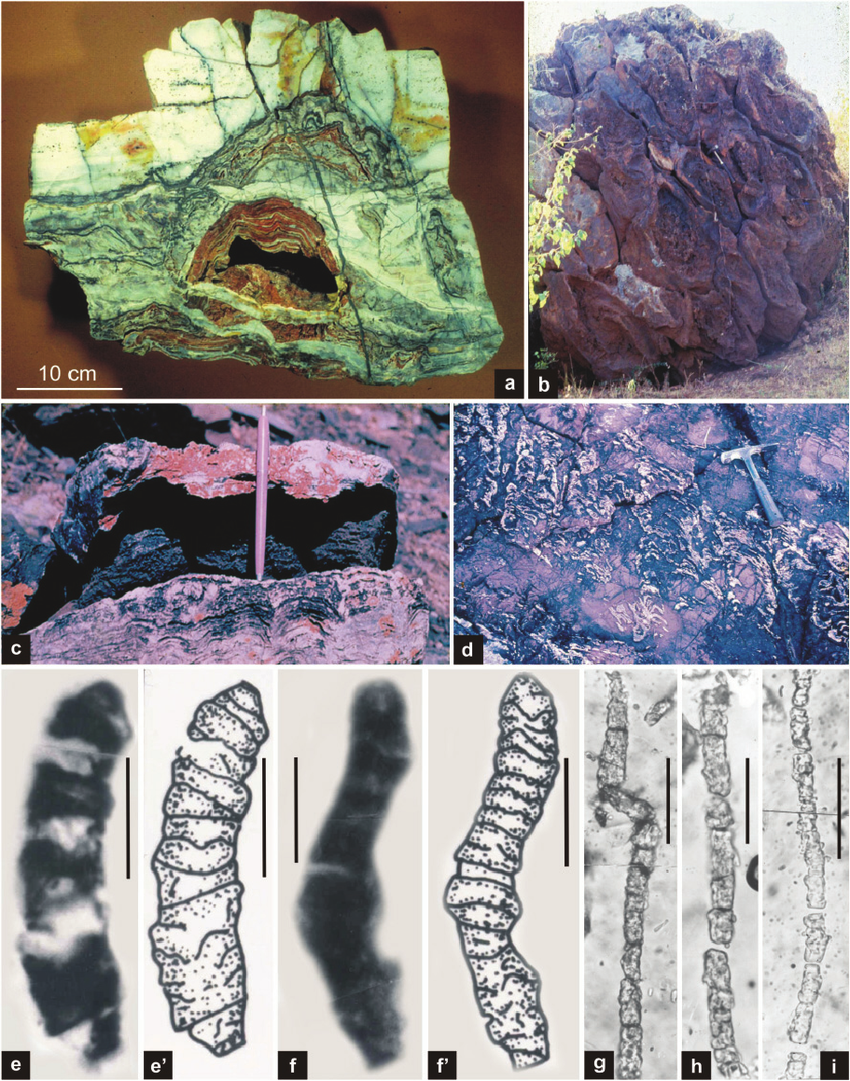 Archaikum und Proterozoikum: Entstehung der Kontinente » Darwinator