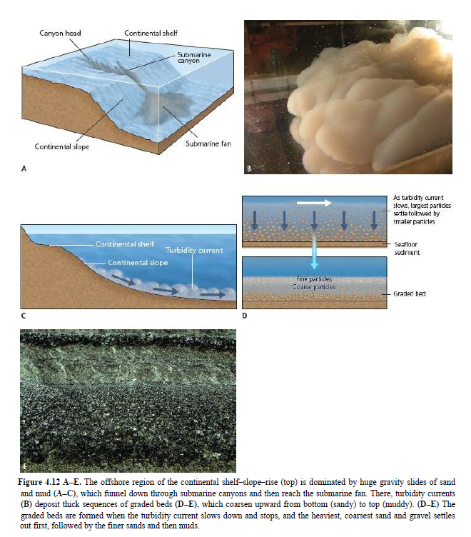 Archaikum und Proterozoikum: Entstehung der Kontinente » Darwinator