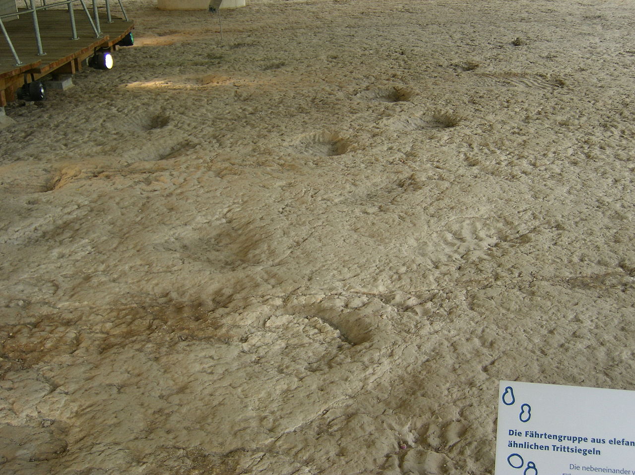 Fossilien Tutorial » Darwinator