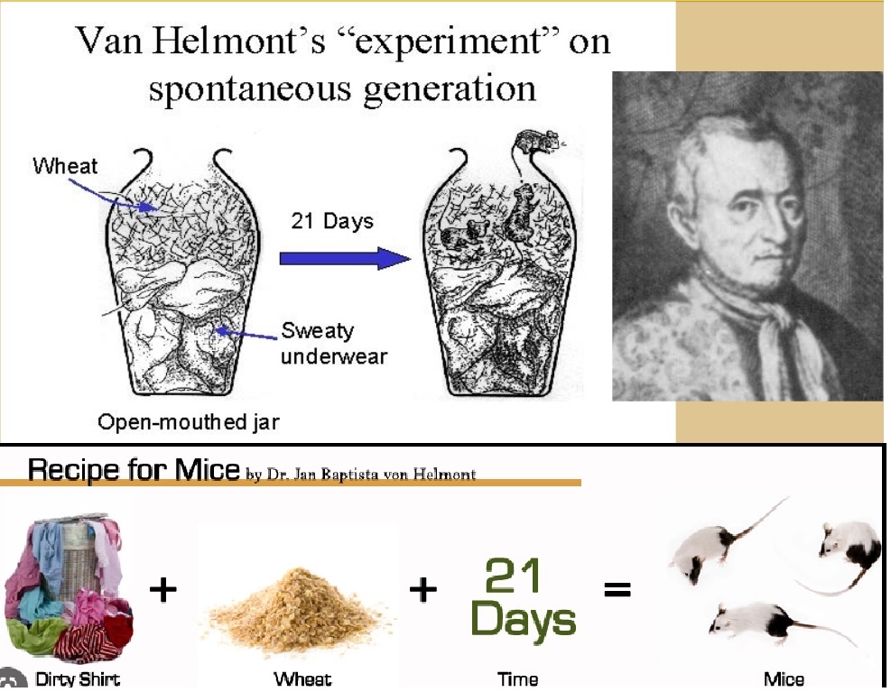 Die Entstehung des Lebens Teil 2: Forschungsgeschichte: Vitalismus ...