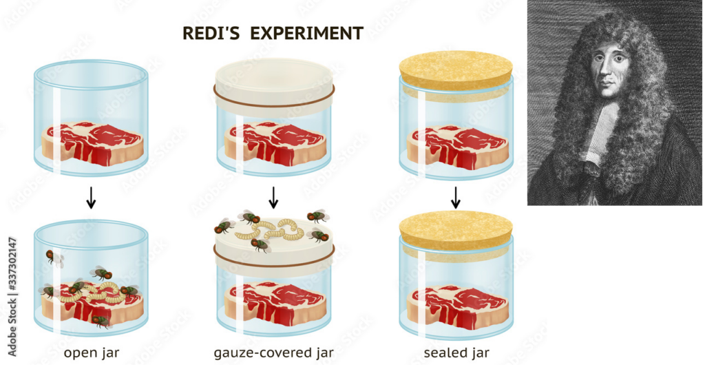 Die Entstehung des Lebens Teil 2: Forschungsgeschichte: Vitalismus ...