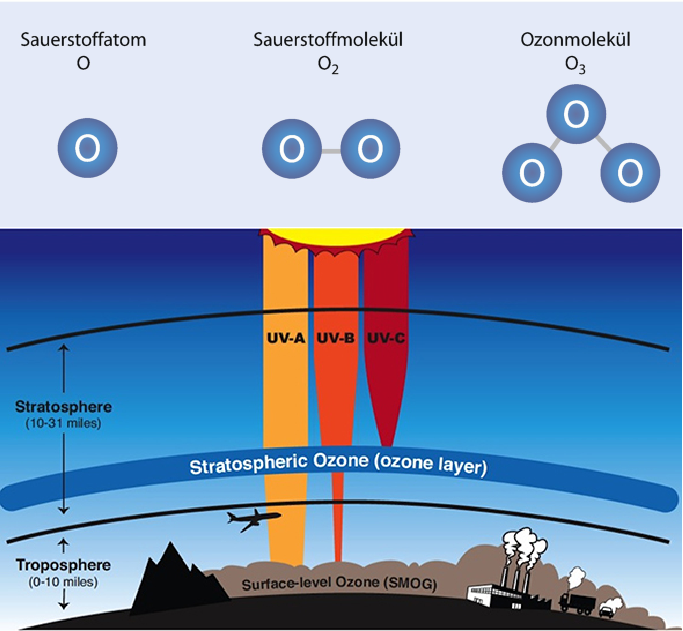 Darwinator 27. März 2023