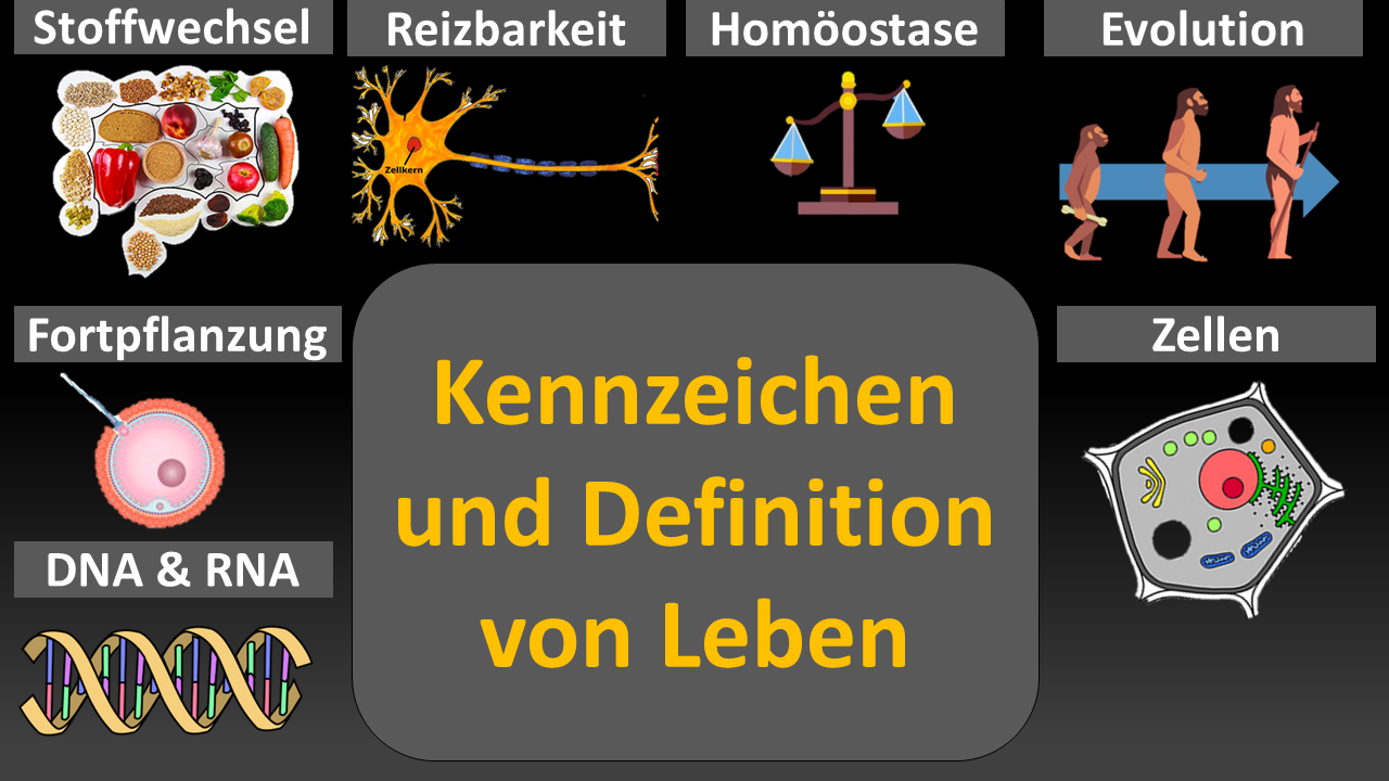 Die Entstehung des Lebens Teil 1: Definition von Leben » Darwinator