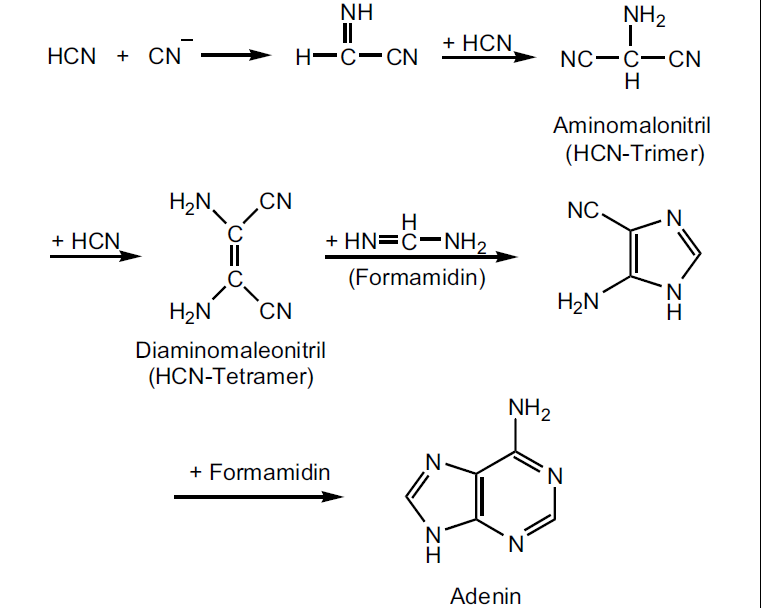 Die Entstehung des Lebens Teil 4: Präbiotische Synthese von ...