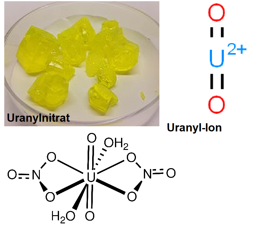 Die Entstehung des Lebens Teil 5: Polymerisation von Biomolekülen ...