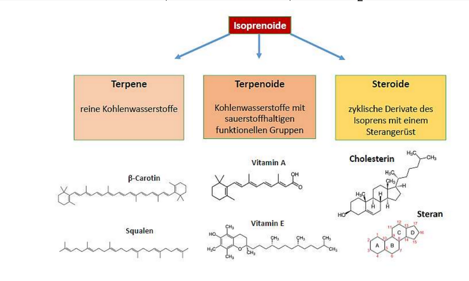 Die Entstehung des Lebens Teil 4: Präbiotische Synthese von ...