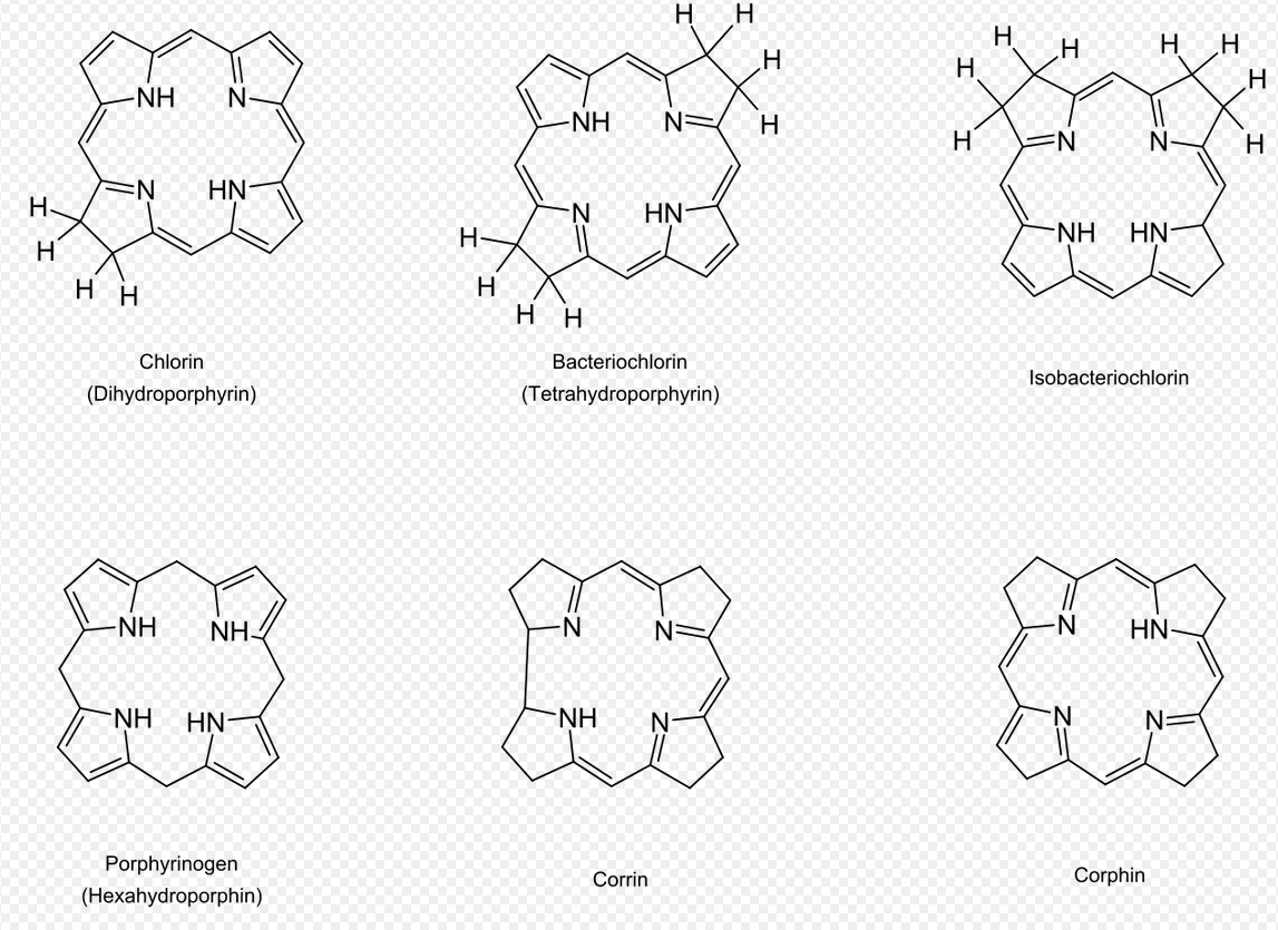 Die Entstehung des Lebens Teil 4: Präbiotische Synthese von ...