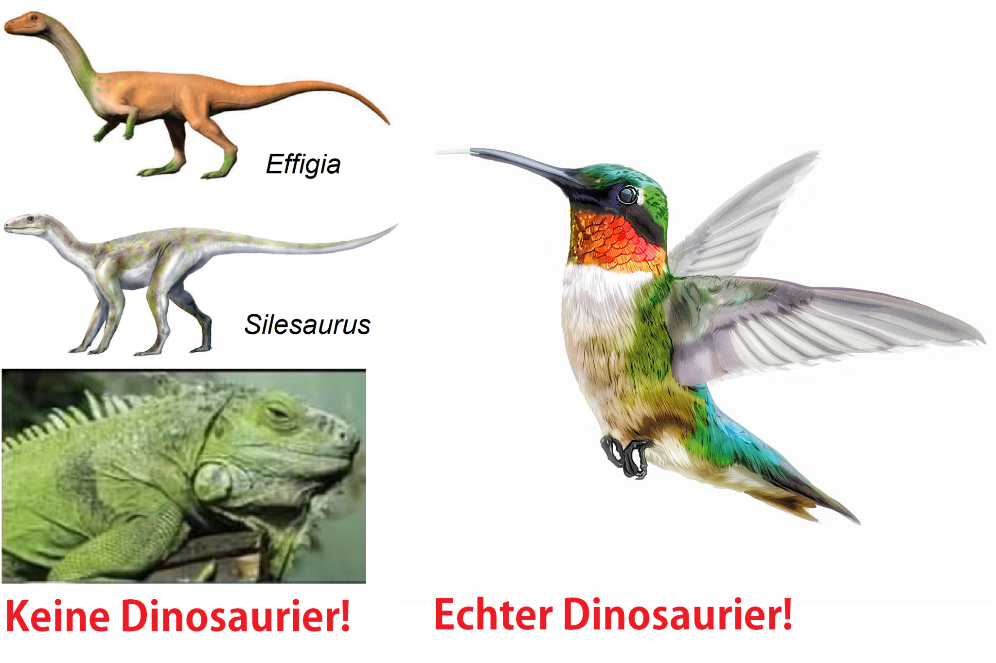 Are birds dinosaurs? Part 1/9: What are dinosaurs?