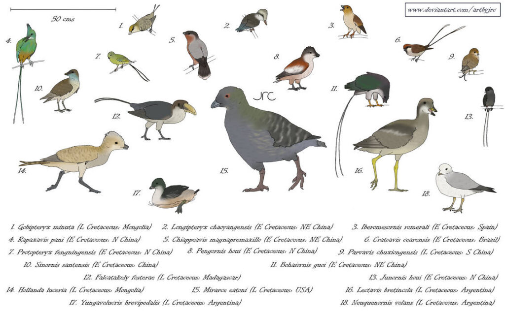 Are birds dinosaurs? Part 3/9: Feathered dragons » Darwinator