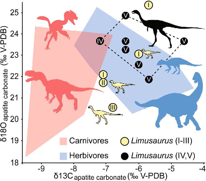 Vom Dino zum Vogel Teil 5: Evolution des Vogel-Skeletts » Darwinator