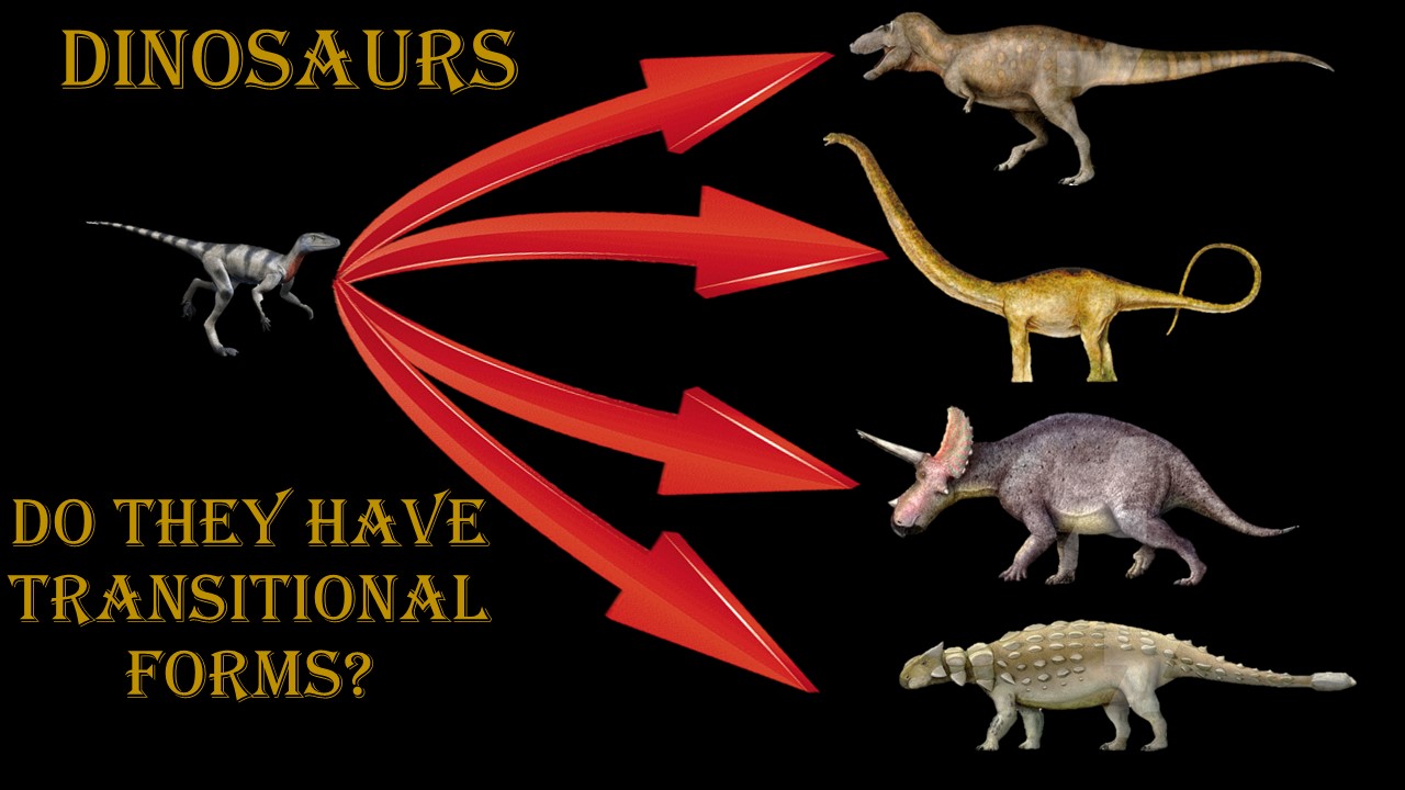 Are Birds Dinosaurs? Part 2/9: Evolution of Non-Avian-Dinosaurs ...