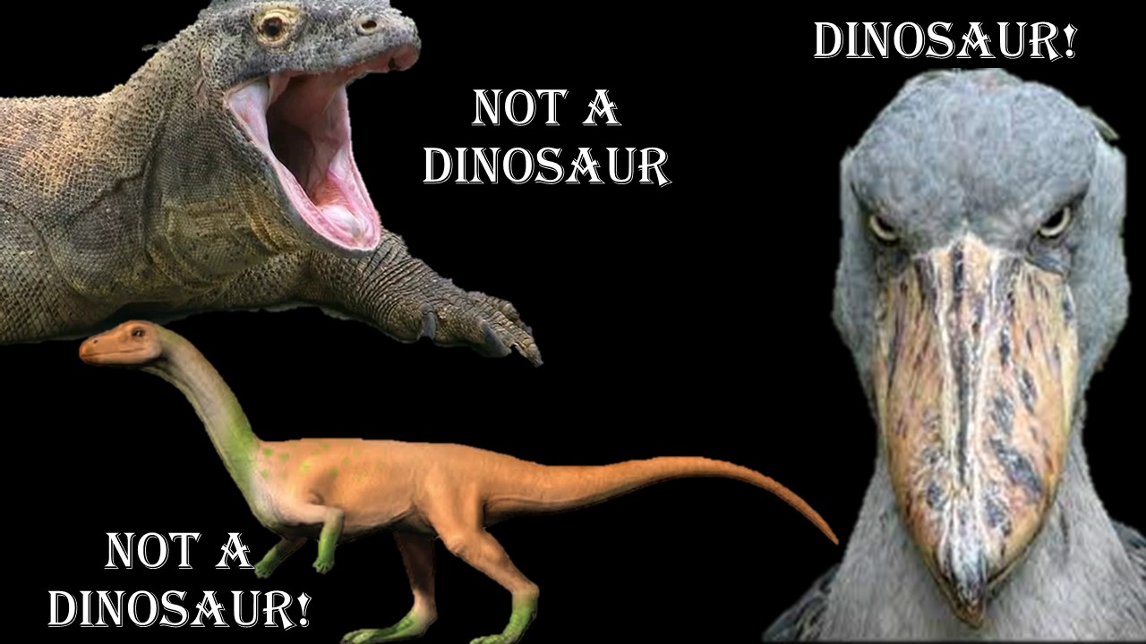 Are birds dinosaurs? Part 1/9: What are dinosaurs?