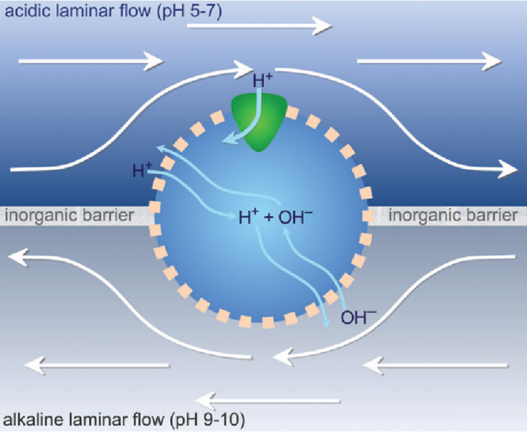 Entstehung des Lebens Teil 12: Wie entstand die erste Zelle? » Darwinator