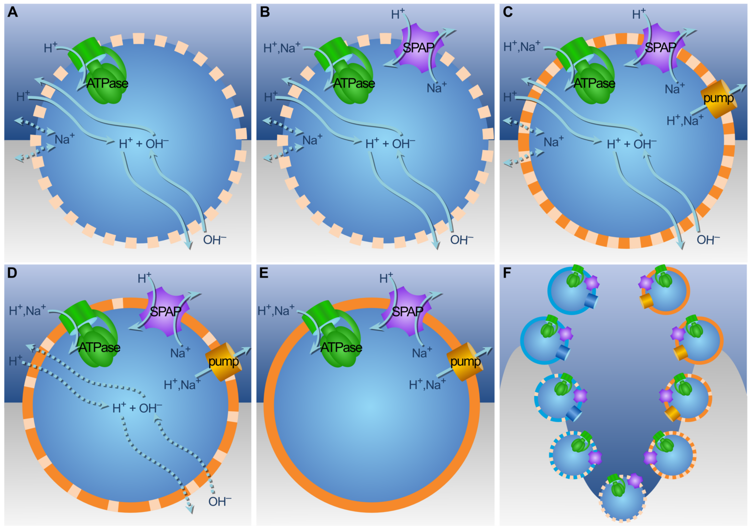 Entstehung des Lebens Teil 12: Wie entstand die erste Zelle? » Darwinator